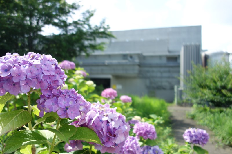 TPECとは | TPEC 公式ホームページ