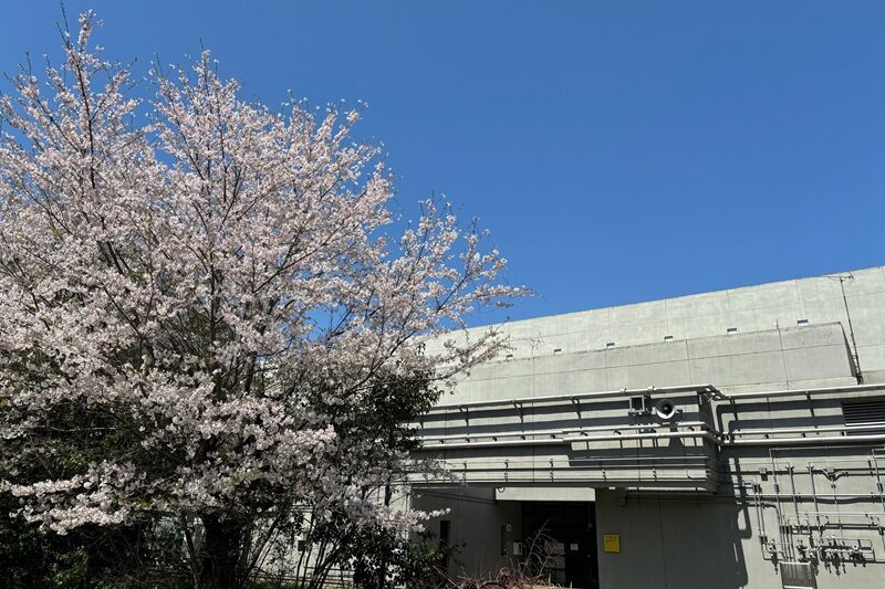 TPECとは | TPEC 公式ホームページ